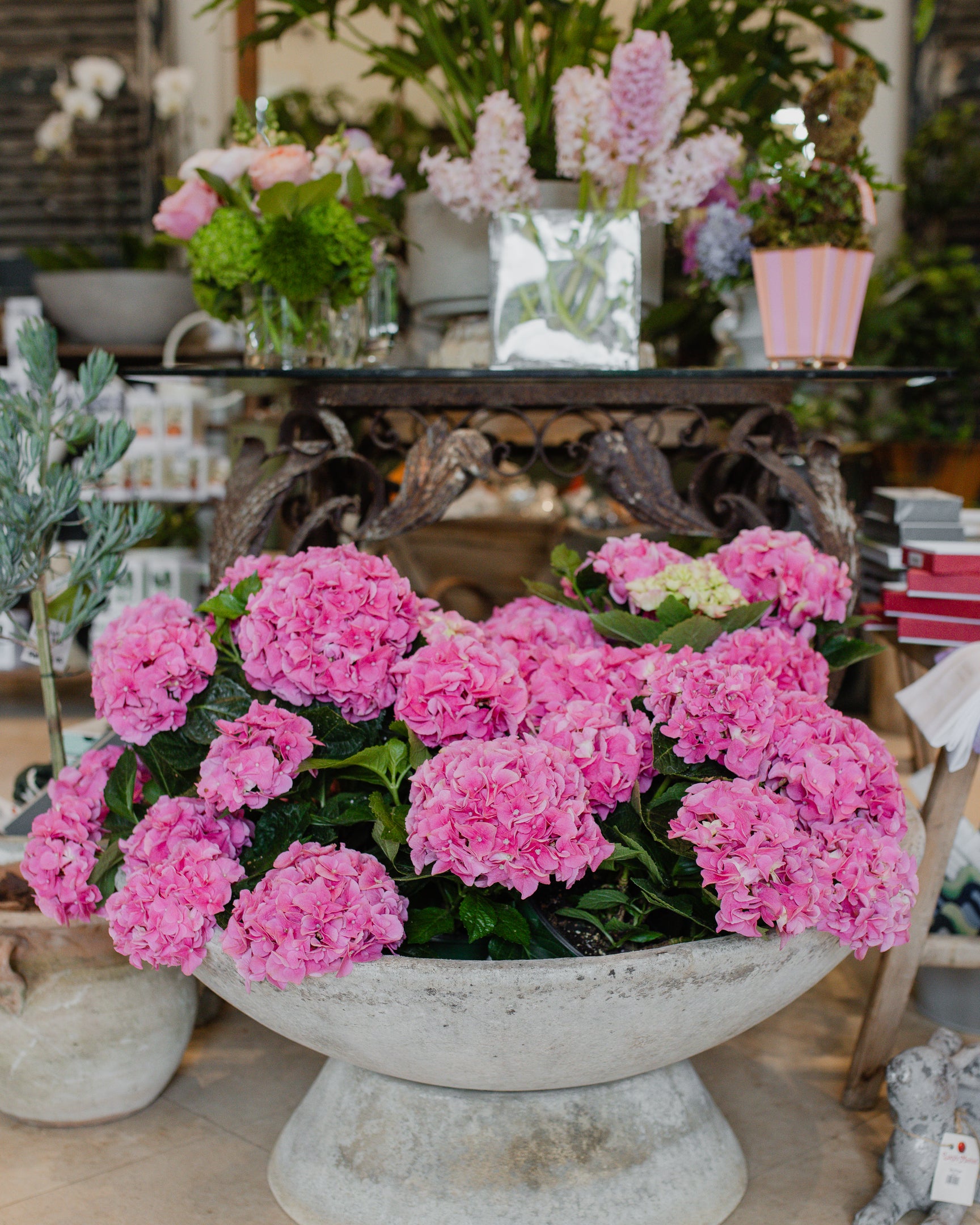 Garden Shop – Lucy's Market