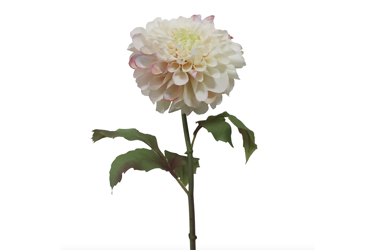 Water Color Stem – Lucy's Market