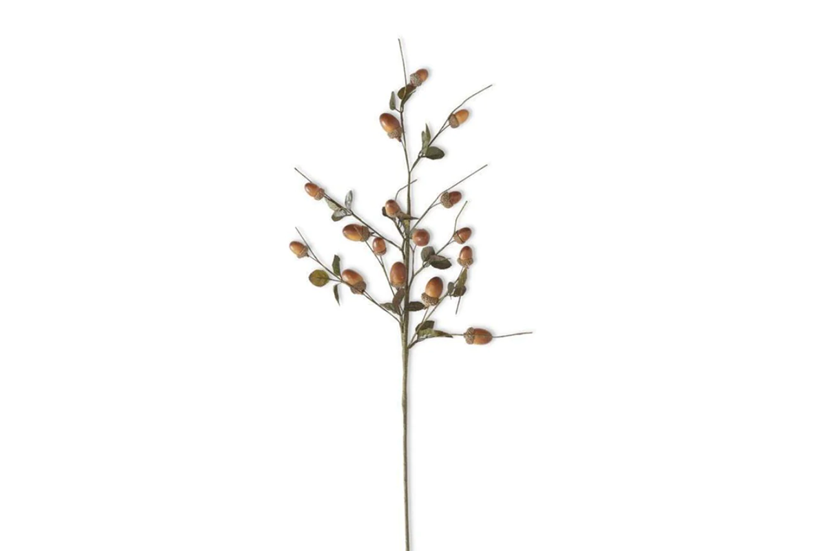27" Brown Acorn Stem – Lucy's Market